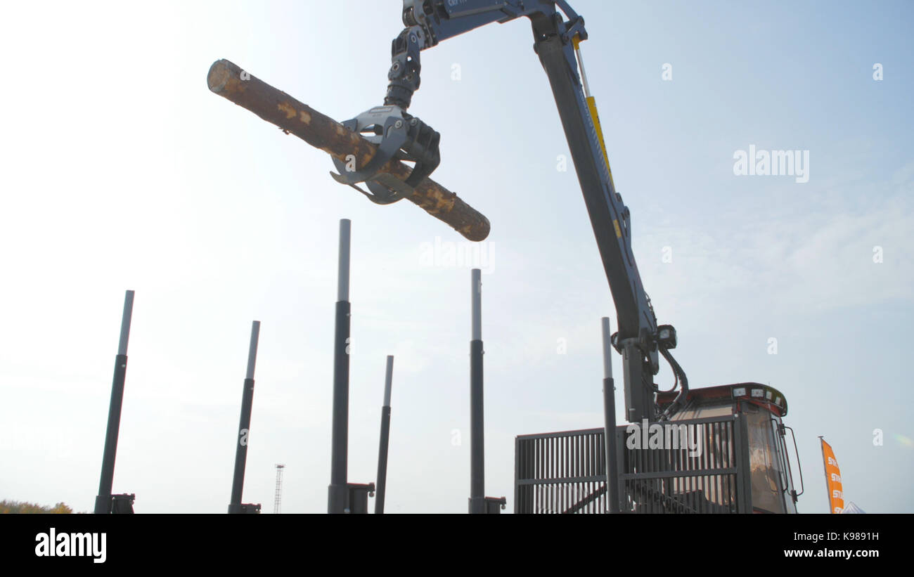 Log loader or forestry machine moves fresh cut logs for loading Stock ...