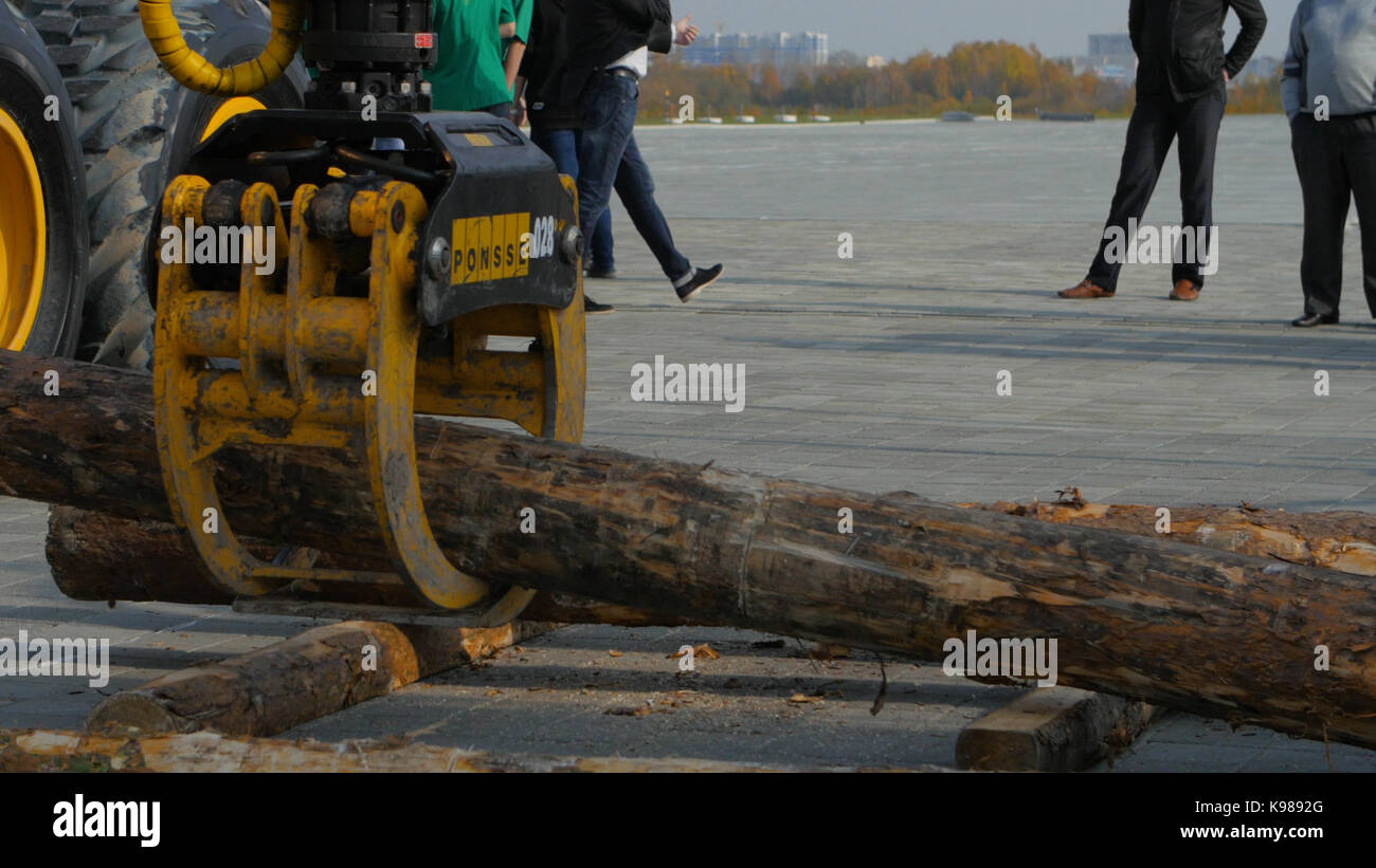 Log loader or forestry machine moves fresh cut logs for loading Stock ...
