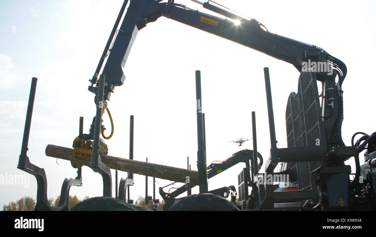 Log loader or forestry machine moves fresh cut logs for loading Stock ...