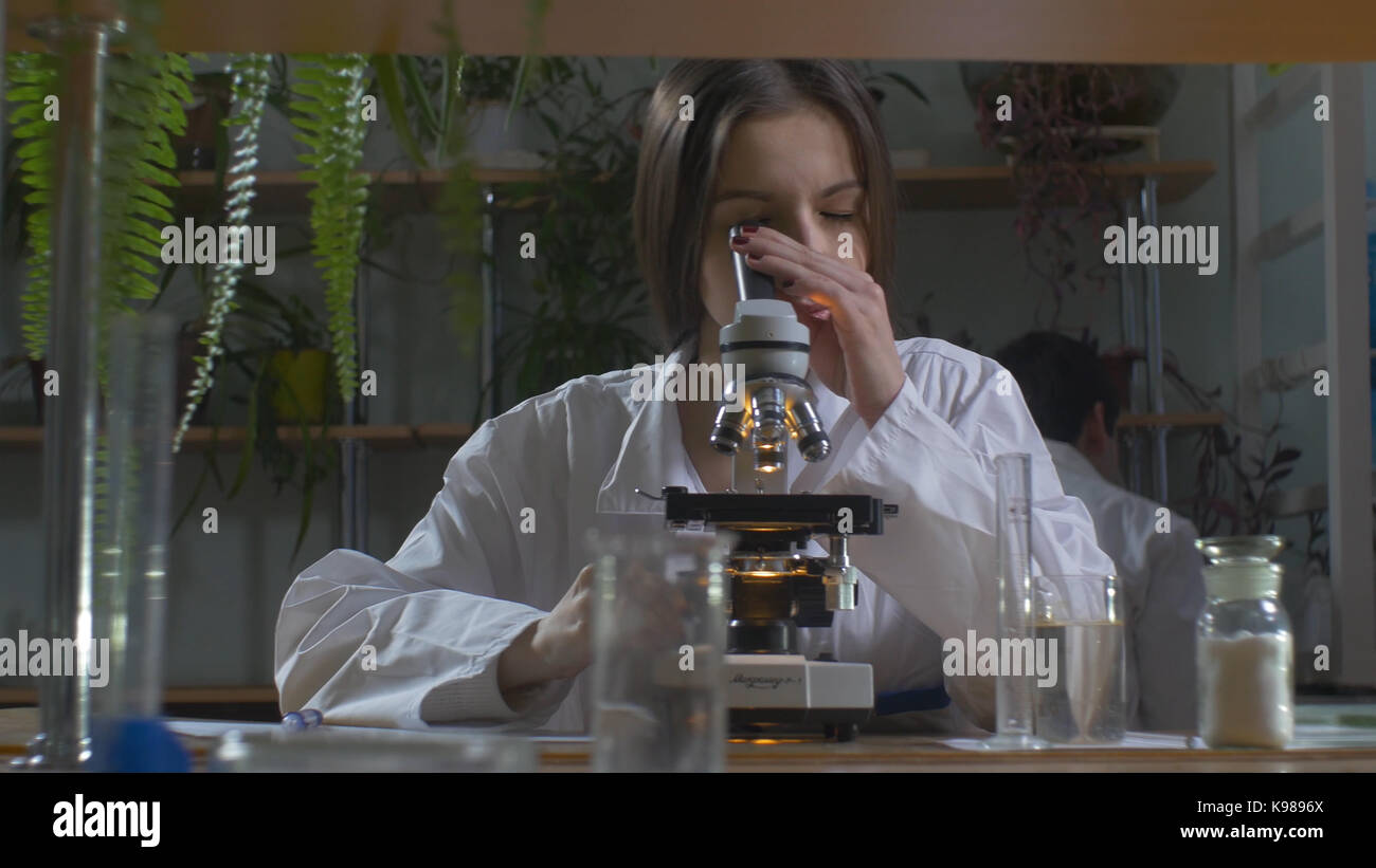 Young scientist looking through a microscope in a laboratory. Young ...