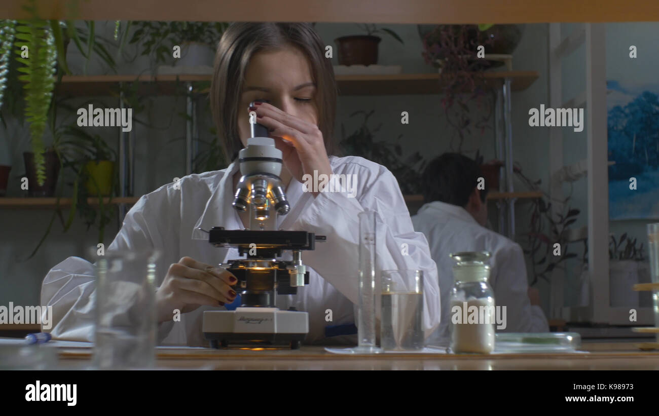 Young scientist looking through a microscope in a laboratory. Young ...