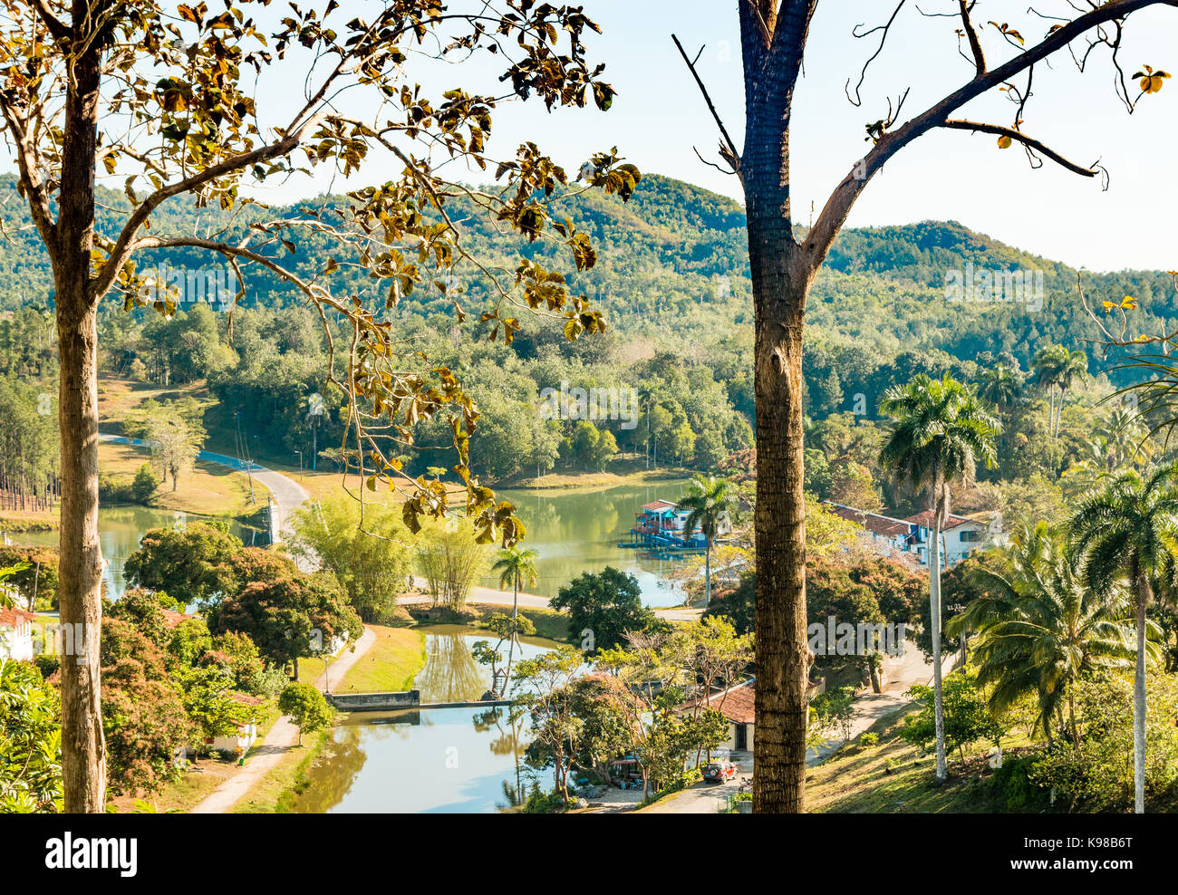 Lakeside rustic cabins and eco-lodges, Las Terrazas, pioneering eco ...