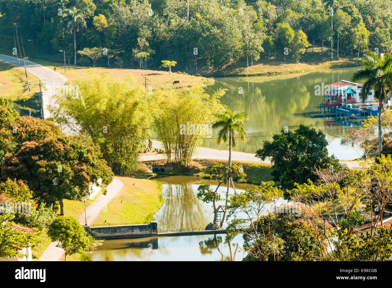 Lakeside rustic cabins and eco-lodges, Las Terrazas, pioneering eco ...