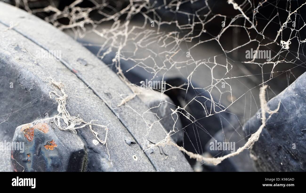 Old spider web on engine Stock Photo - Alamy