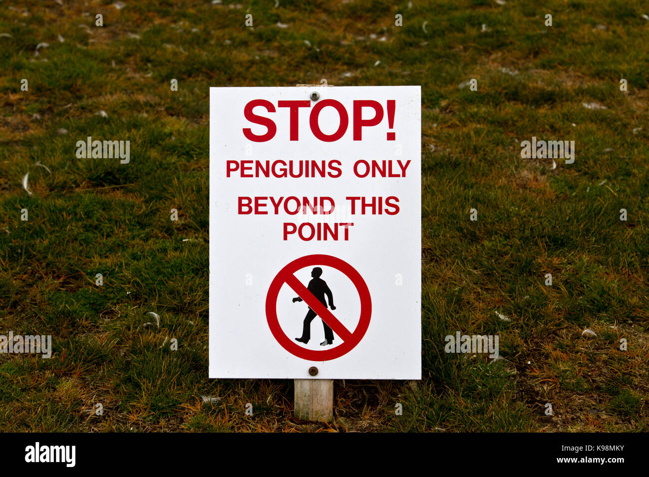 Penguins only sign hi-res stock photography and images - Alamy