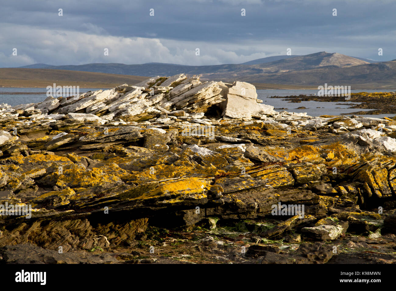 Landscape Falkland Islands Stock Photo - Alamy