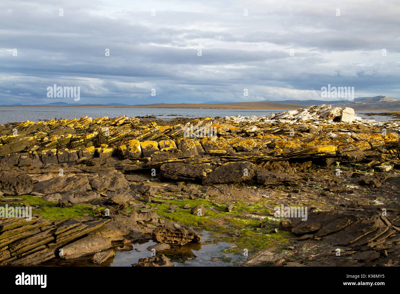 Beautiful shoreline falkland islands hi-res stock photography and ...