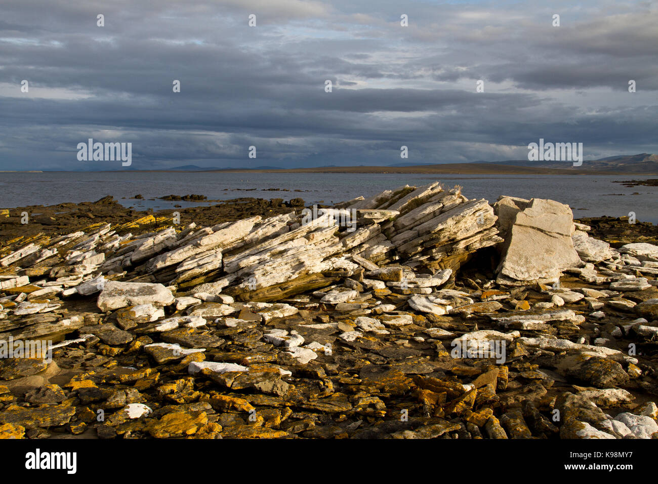 Coastline Falkland Islands Stock Photo - Alamy