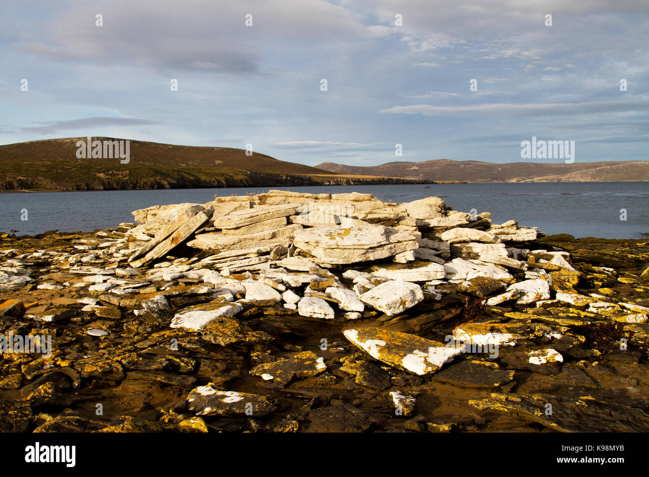 Coastline Falkland Islands Stock Photo - Alamy