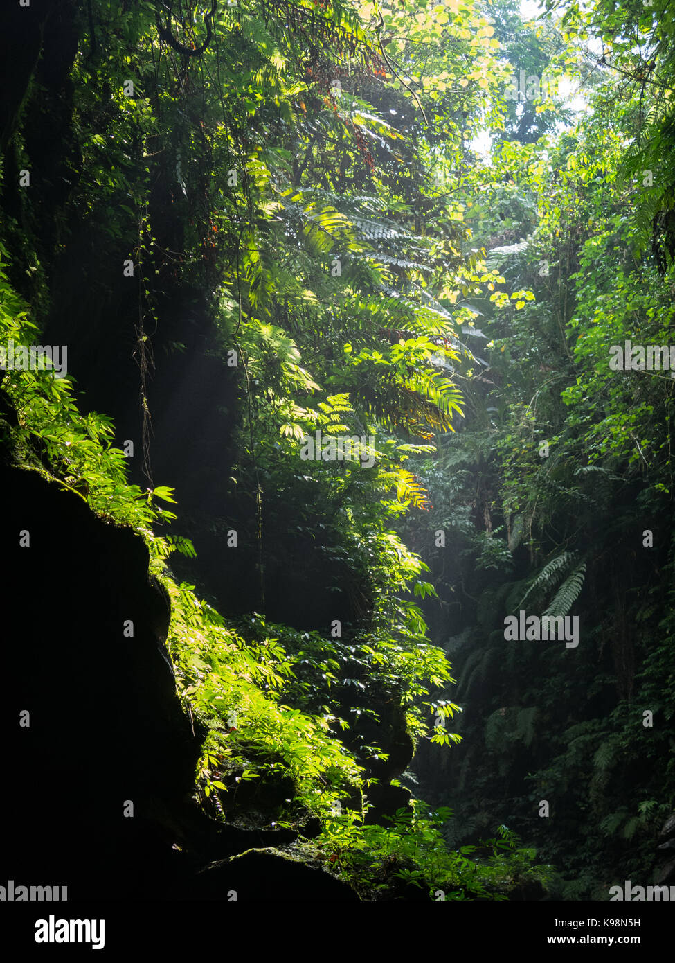 Millennium cave vanuatu hi-res stock photography and images - Alamy