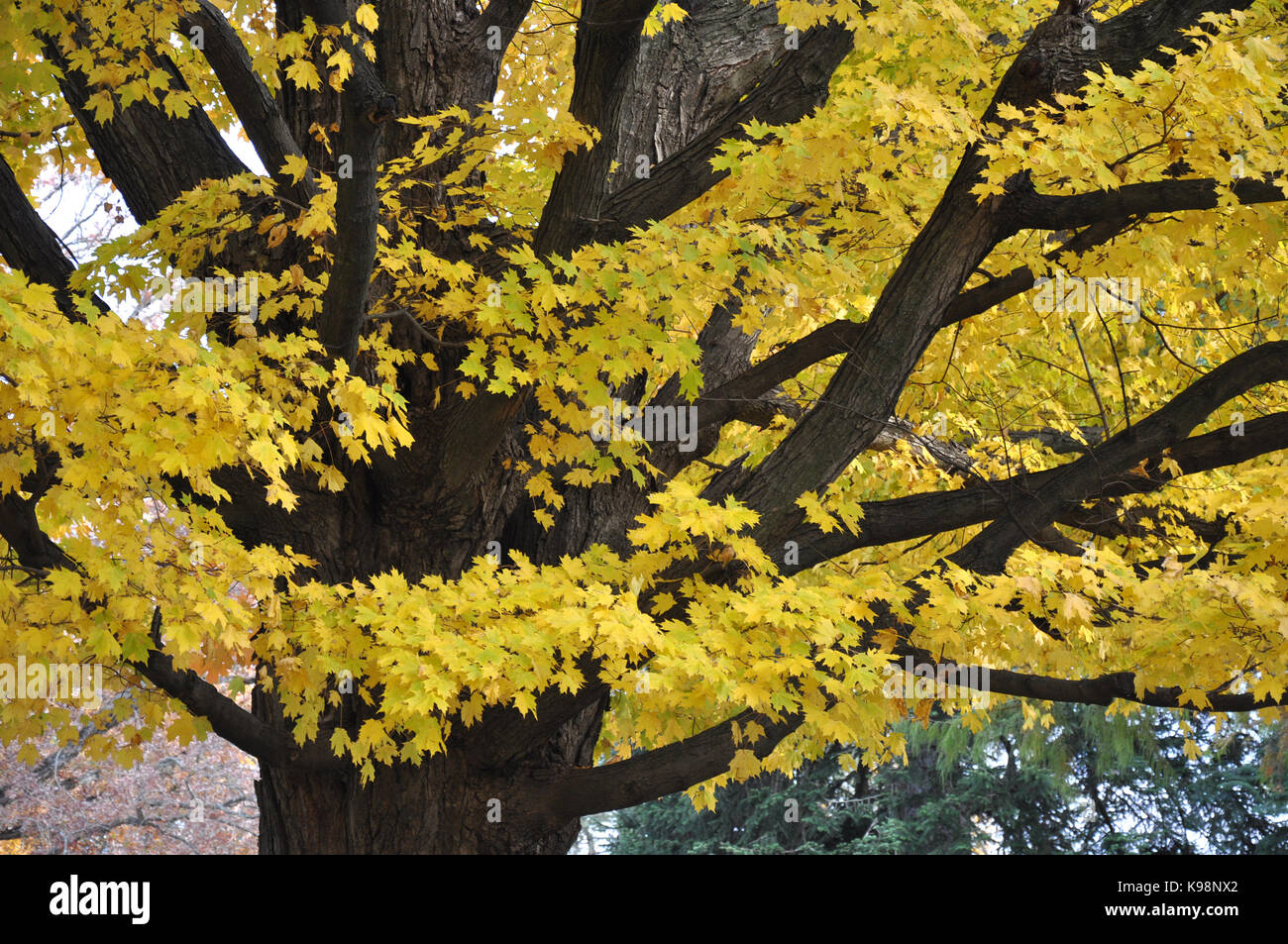 Gettysburg national cemetery hi-res stock photography and images - Alamy