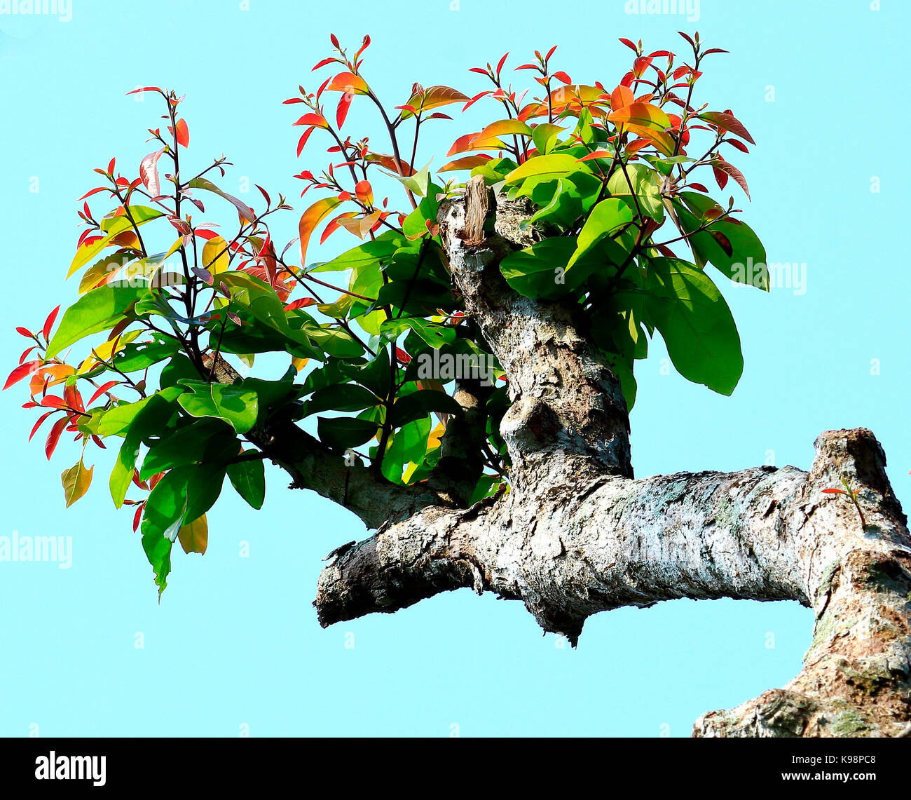 Beautiful photos taken in hi-res stock photography and images - Alamy