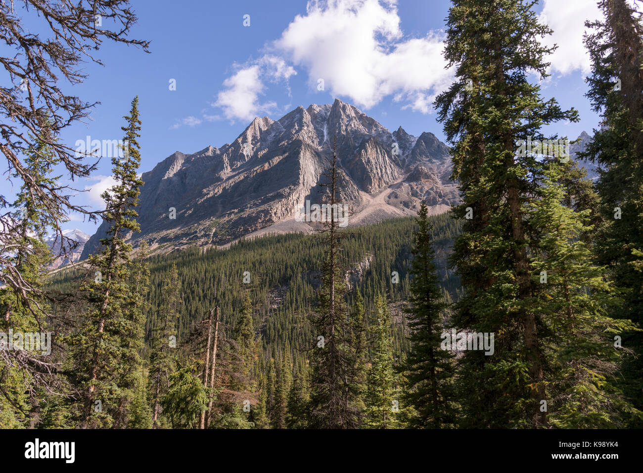 Throne mountain seen from the Tonquin Valley Trail in Jasper National ...