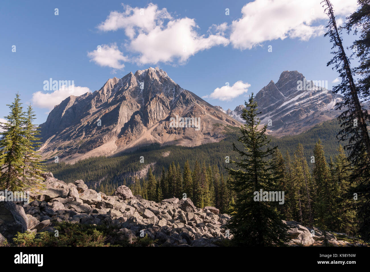 Throne and Blackhorn mountains seen from the Astoria Train in Jasper ...