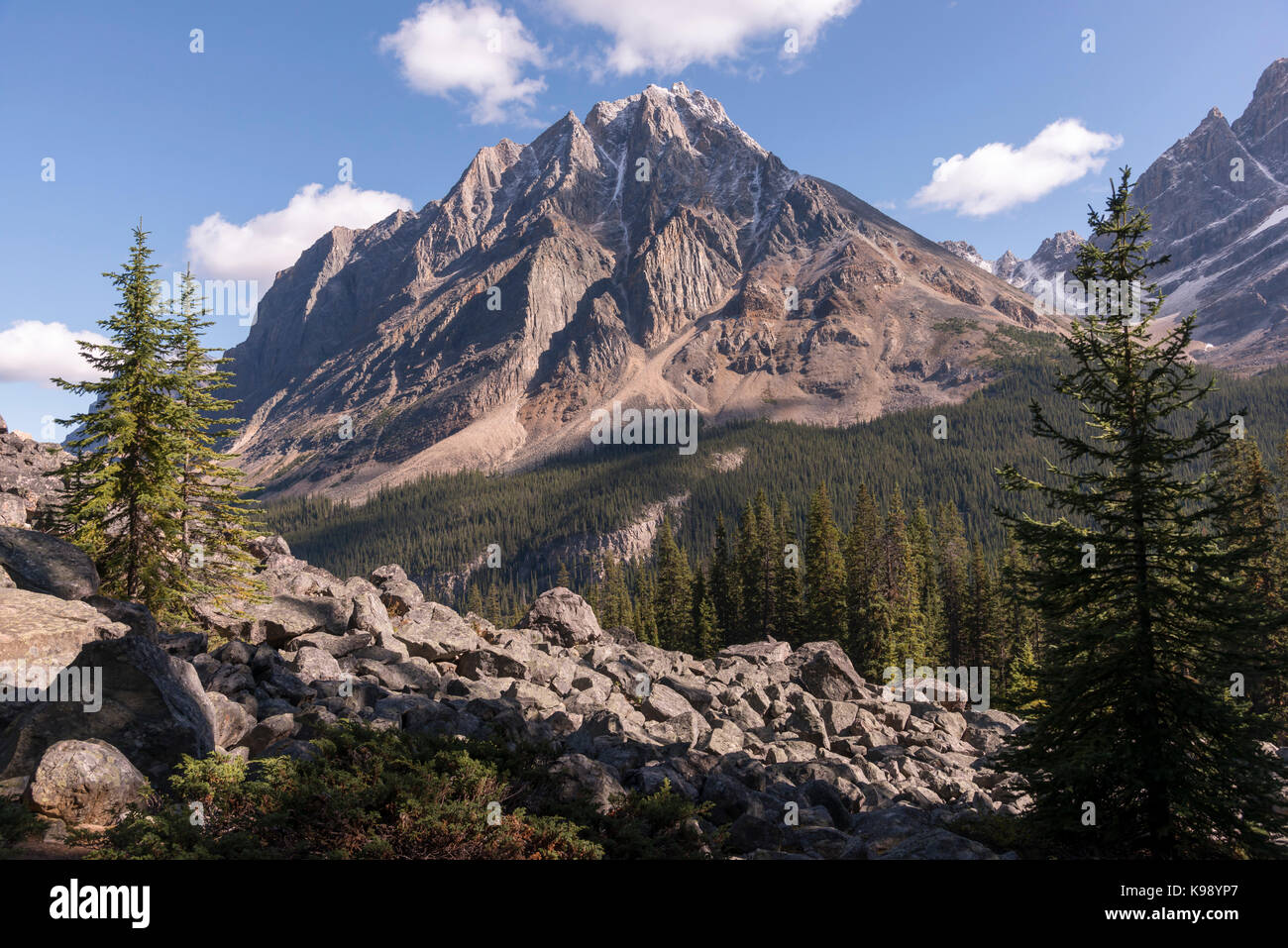 Throne mountain seen from the Tonquin Valley Trail in Jasper National ...