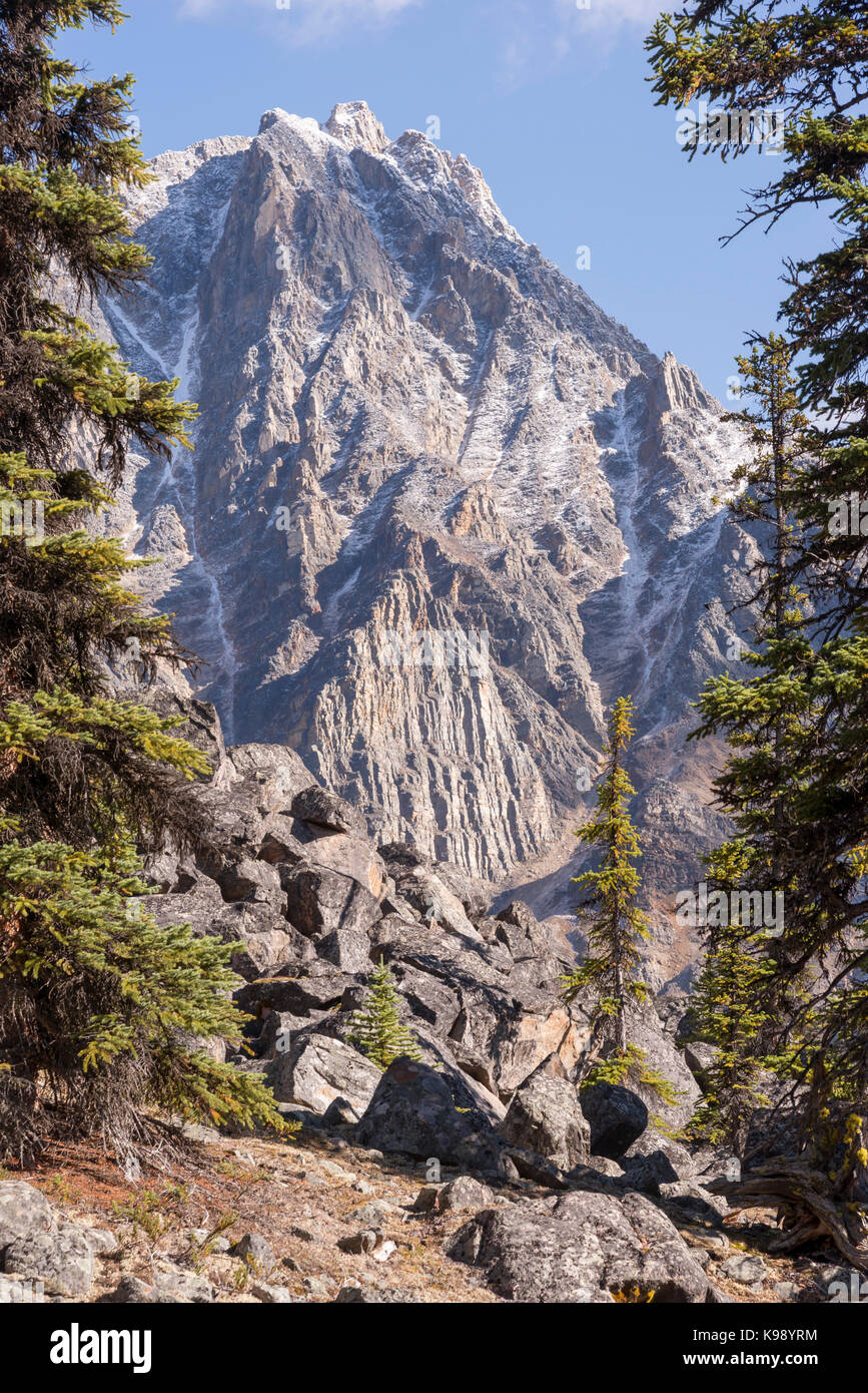Throne mountain seen from the Tonquin Valley Trail in Jasper National ...