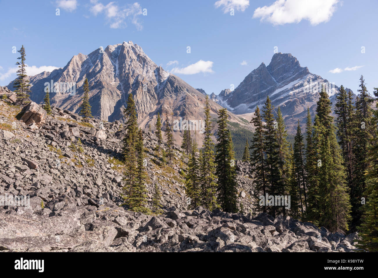 Throne and Blackhorn mountains seen from the Tonquin Valley in Jasper ...