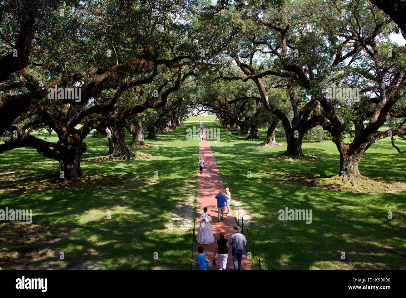 Oak alley plantation hi-res stock photography and images - Alamy