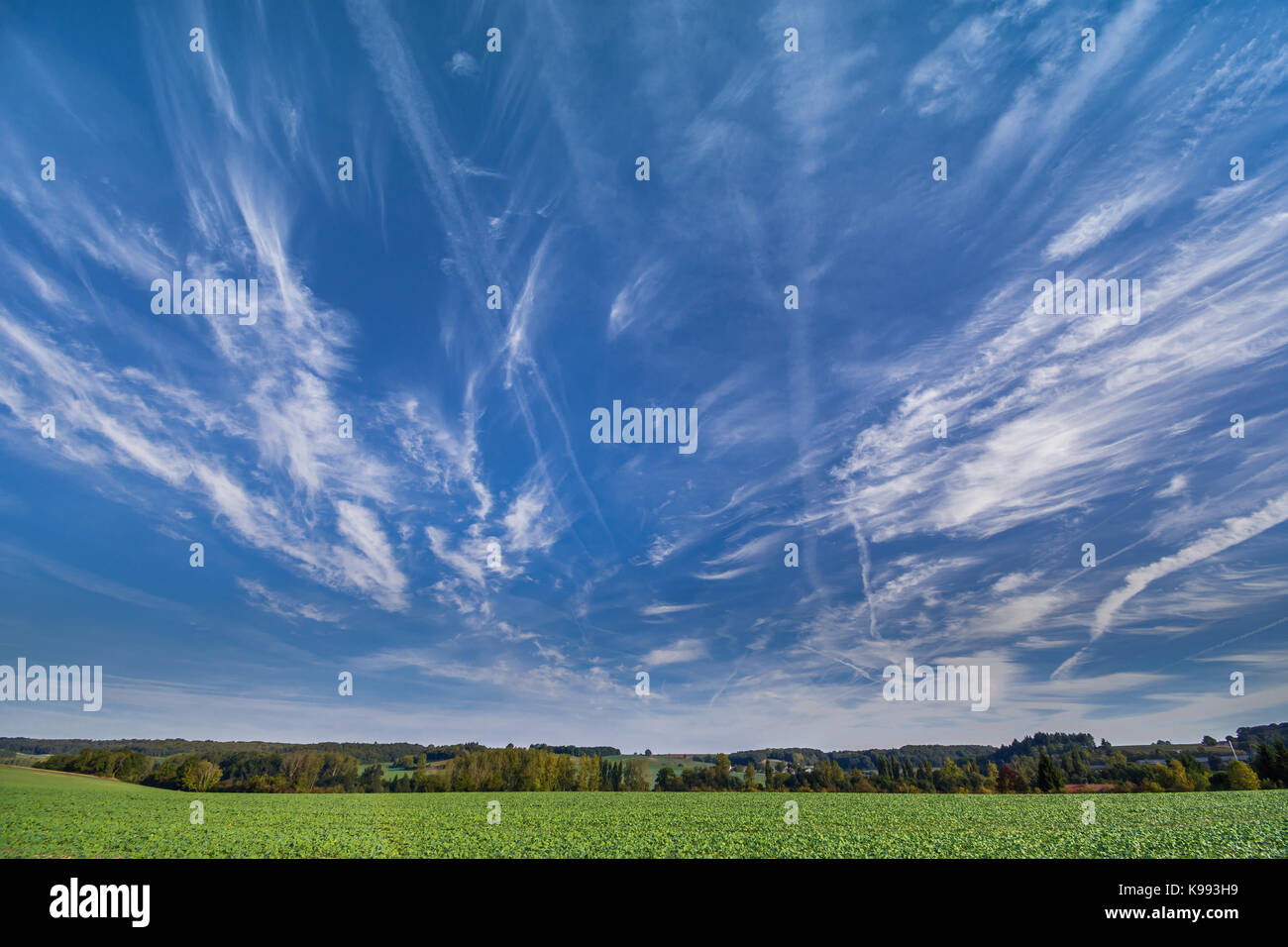 Cirrus clouds and aircraft contrails, France Stock Photo - Alamy
