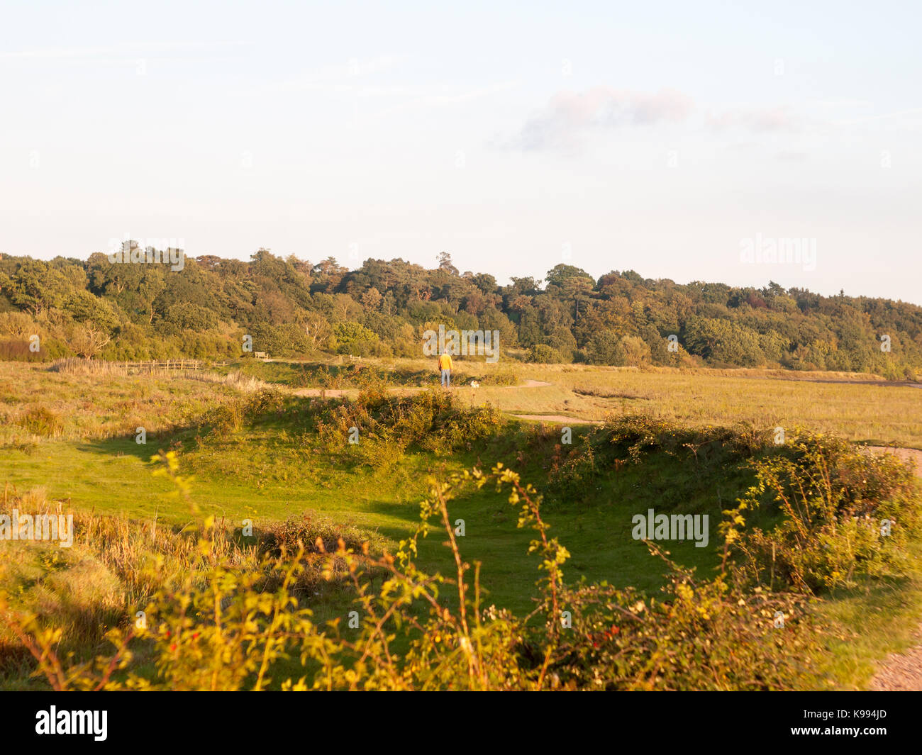 beautiful country farm grass land scene outside person walking his dog ...