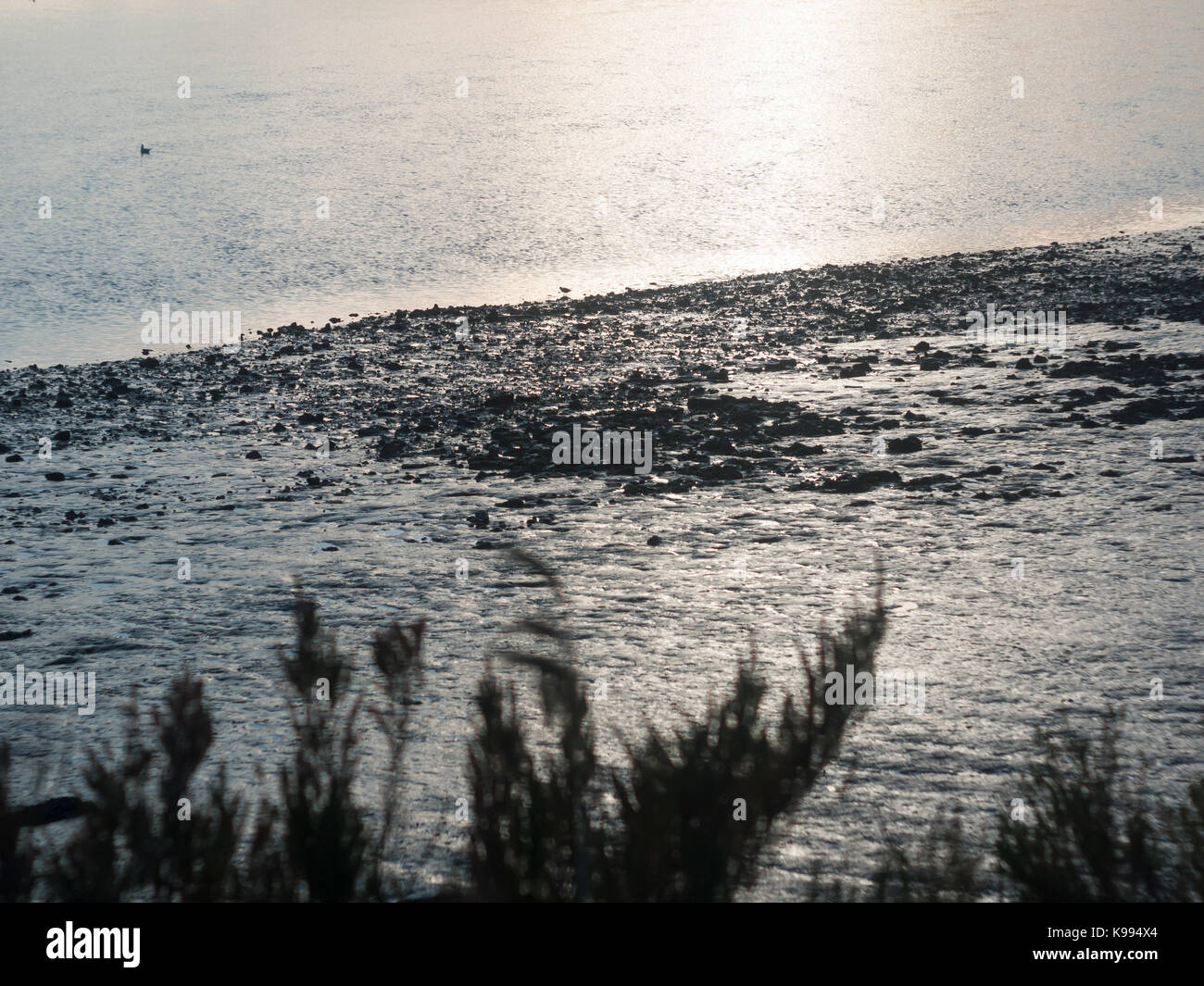 scene of beach polarised harsh lightning footprints river; England ...