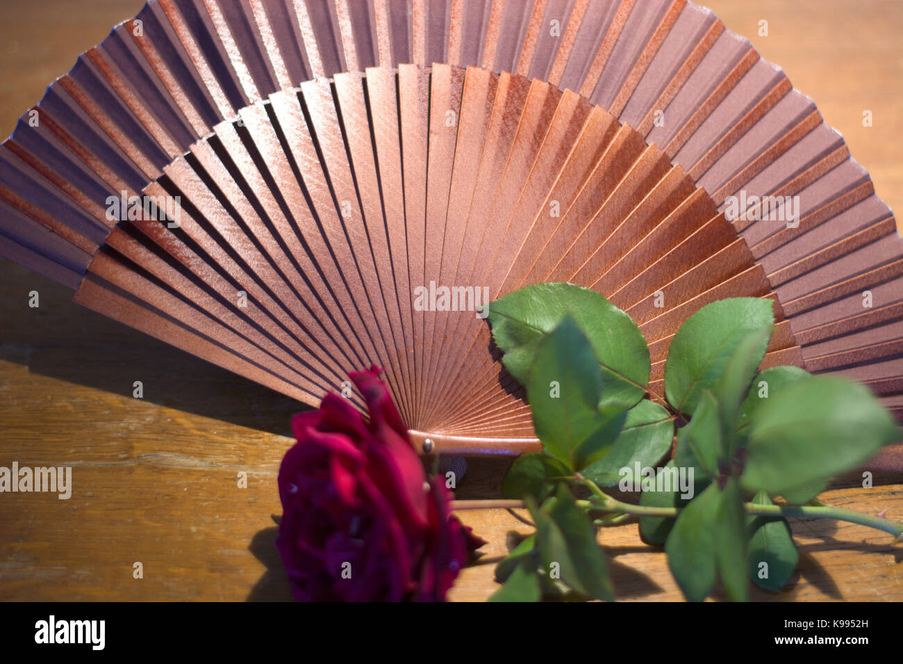 a fan and a rose Stock Photo - Alamy