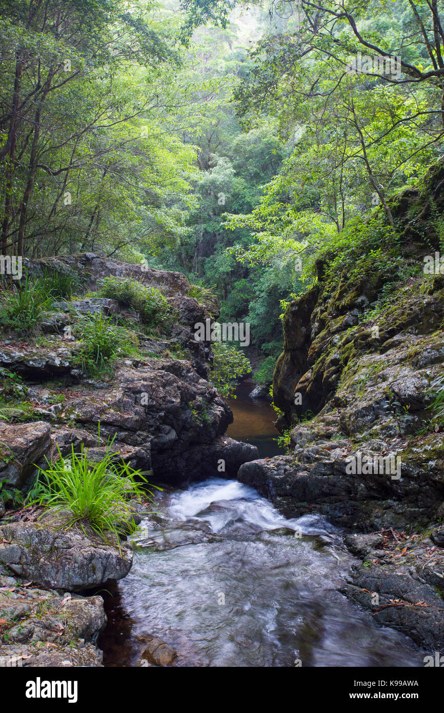 Water rushing in a stream above a waterfall, Potoroo Falls in Tapin ...