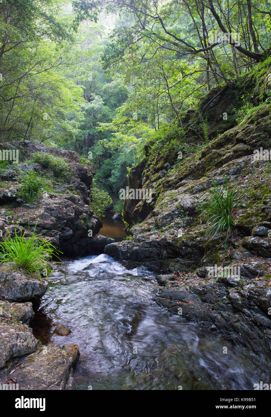 Water rushing in a stream above a waterfall, Potoroo Falls in Tapin ...