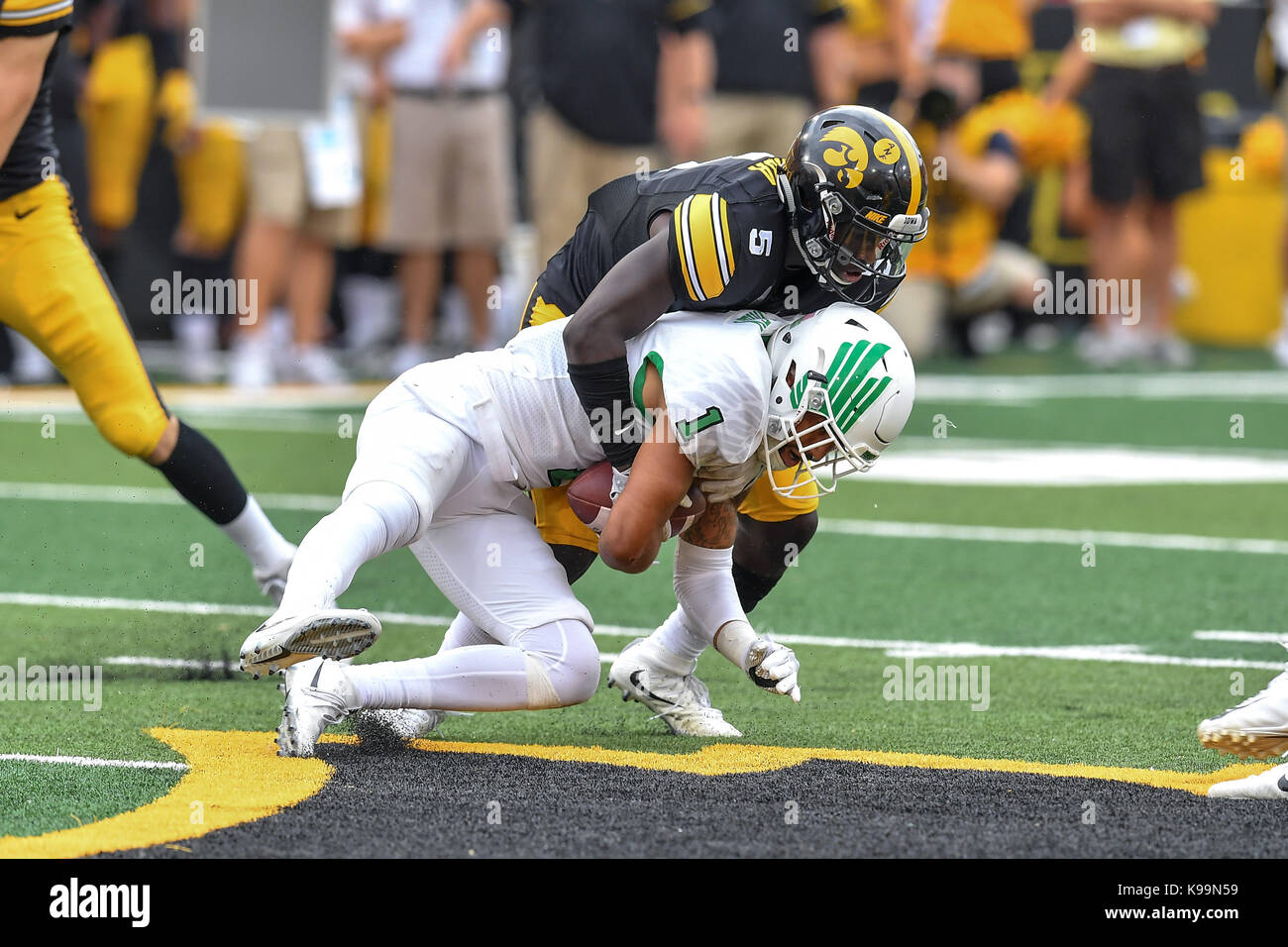 20170916mf 111 jpg hi-res stock photography and images - Alamy