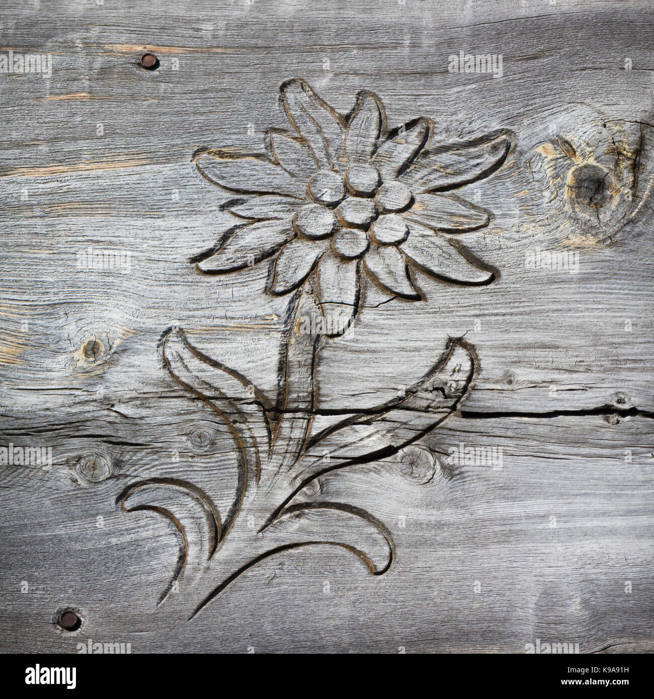 Wooden edelweiss hi-res stock photography and images - Alamy