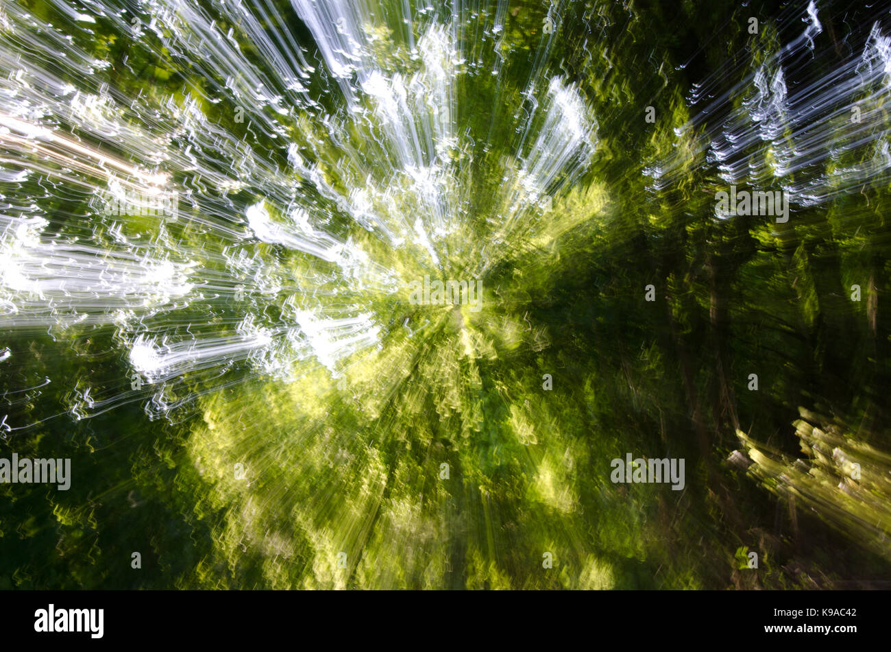 Blurred sun rays in the park on sunny day Stock Photo - Alamy