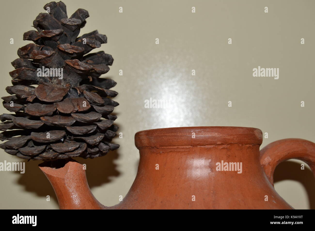 Sheath of corn hi-res stock photography and images - Alamy