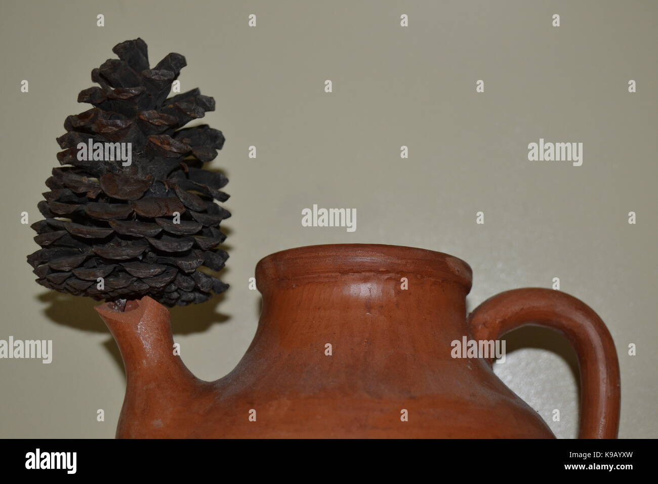 Sheath of corn hi-res stock photography and images - Alamy