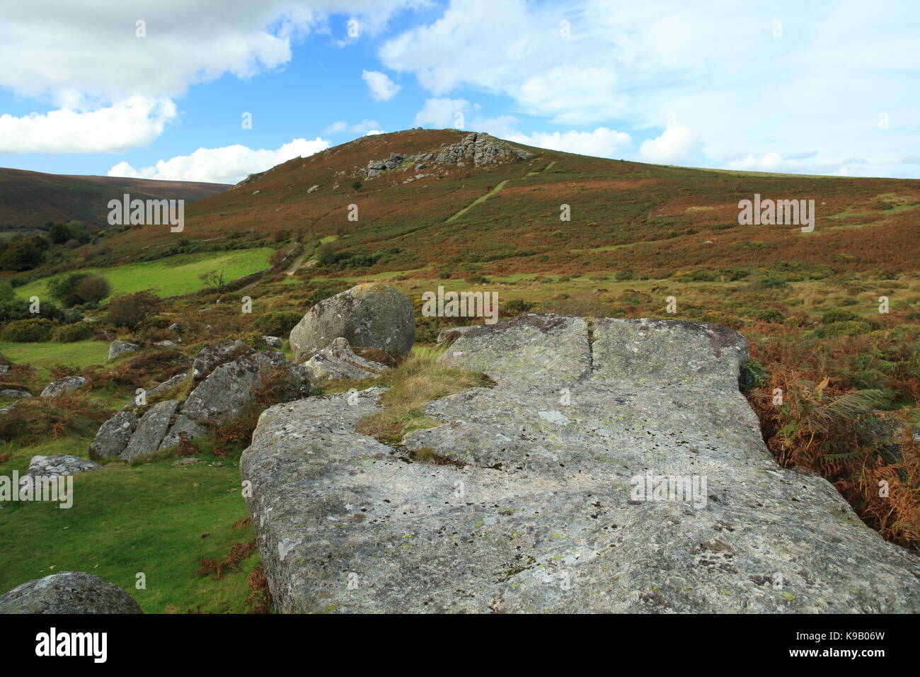 Bell tor hi-res stock photography and images - Alamy