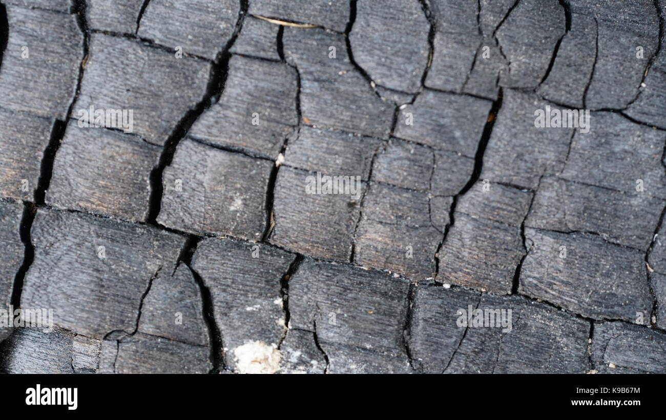 Charred wood texture hi-res stock photography and images - Alamy