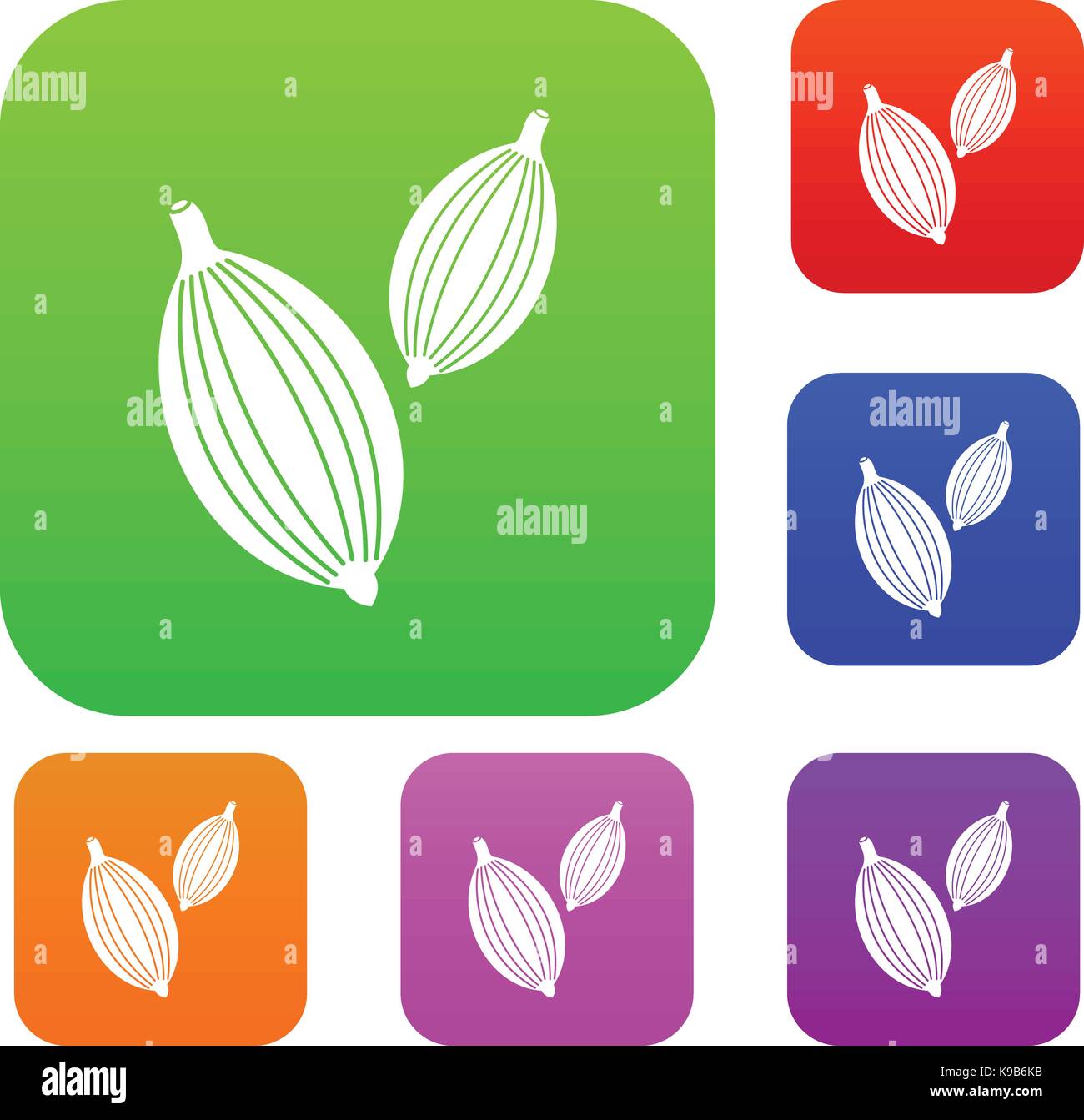 Cardamom pods set color collection Stock Vector Image & Art - Alamy