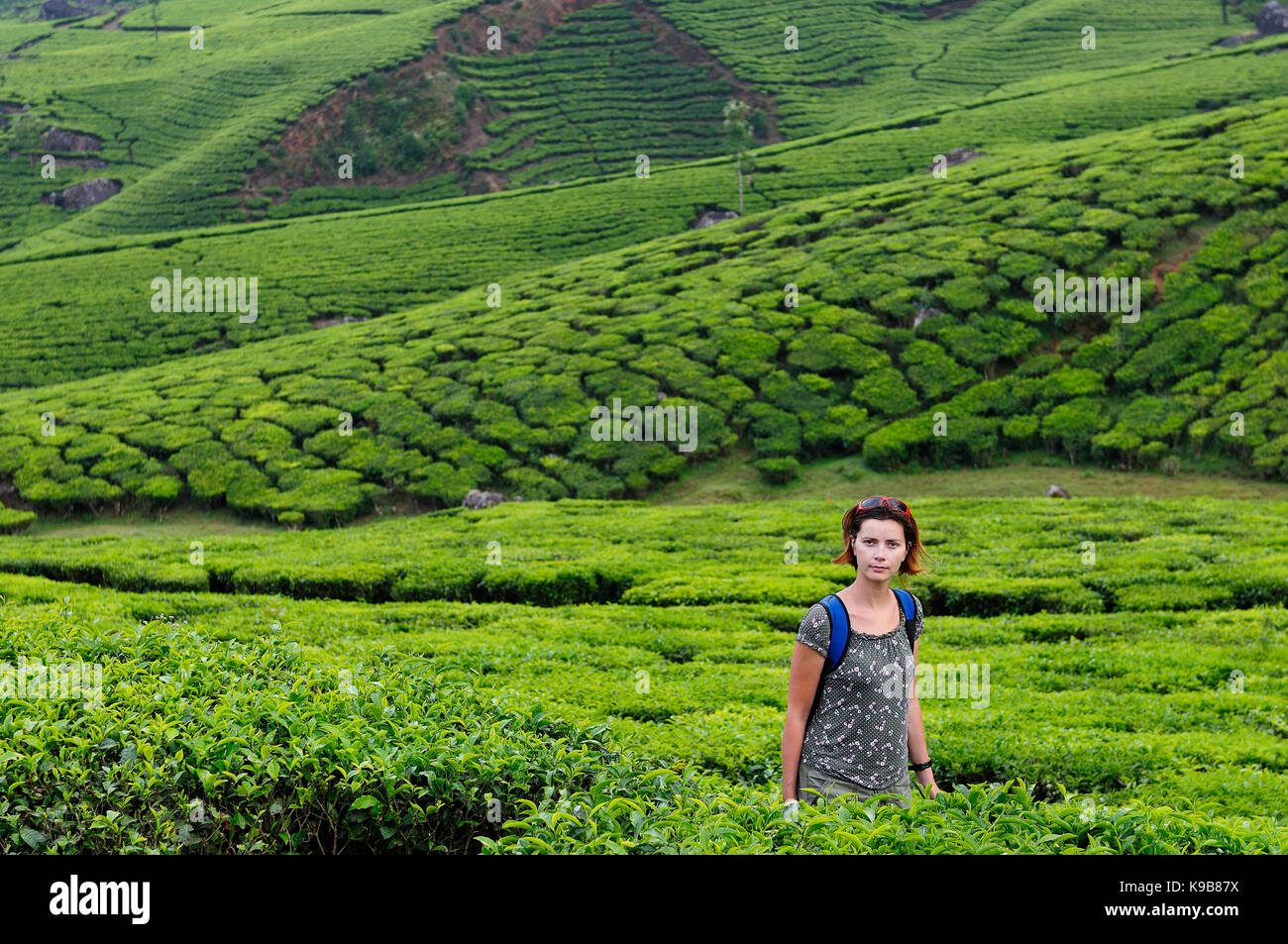Tourist on the trip on tea plantations Stock Photo - Alamy
