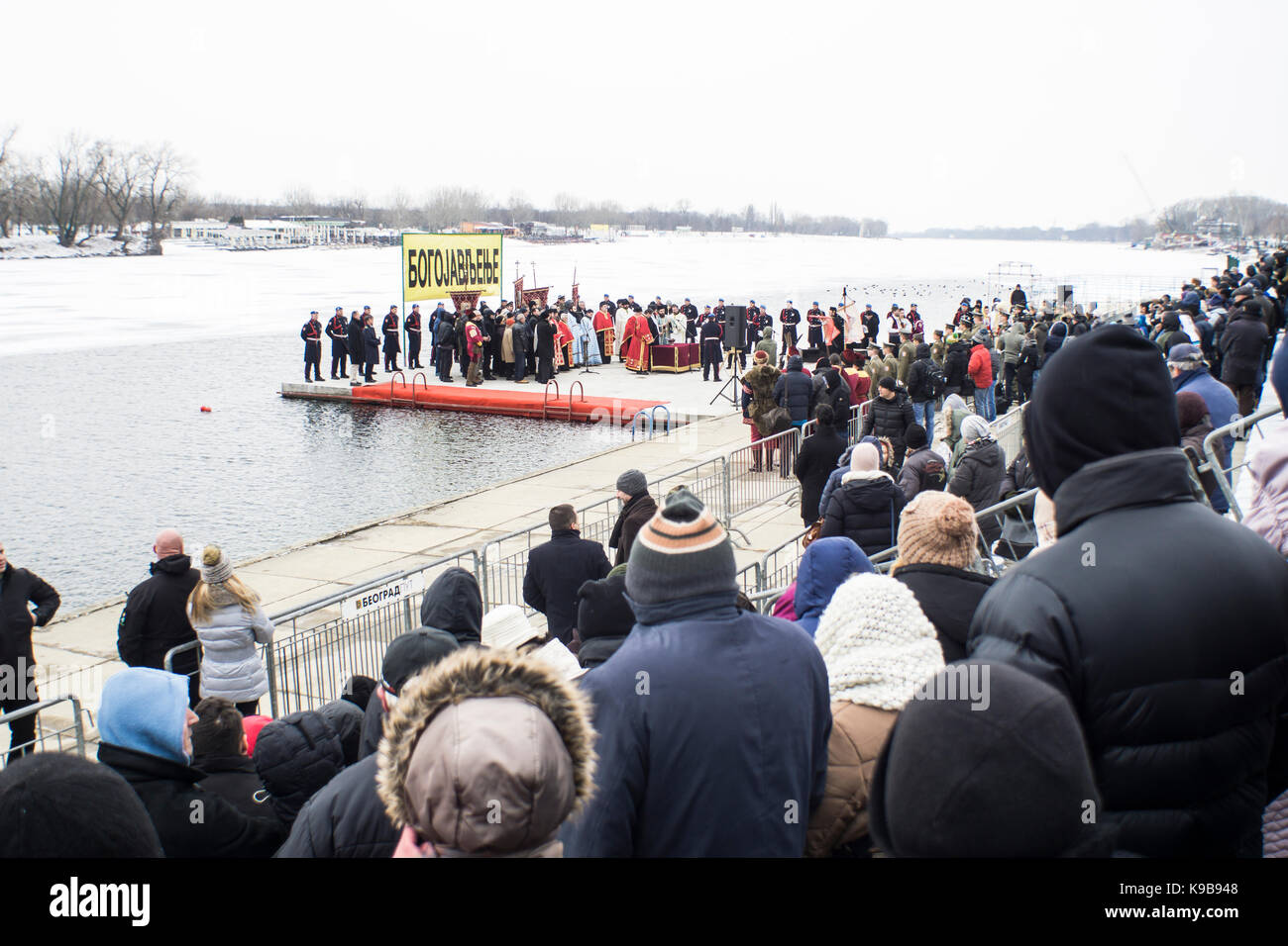 Celebration of Epiphany in Belgrade, Swimming for the Holy Cross Stock ...