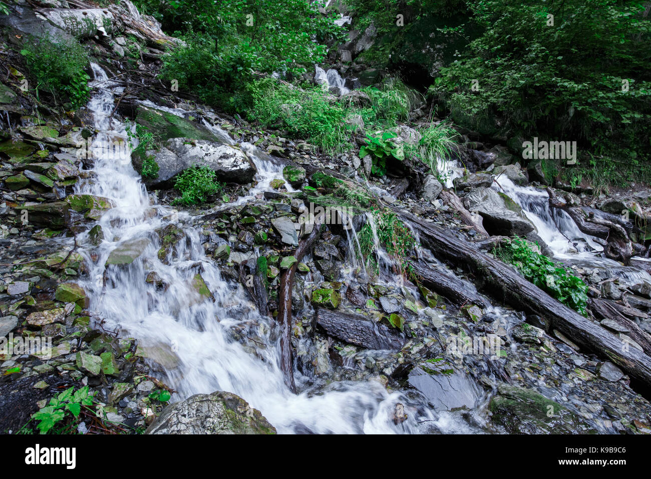 Cascading Stream in mountain forest Stock Photo - Alamy