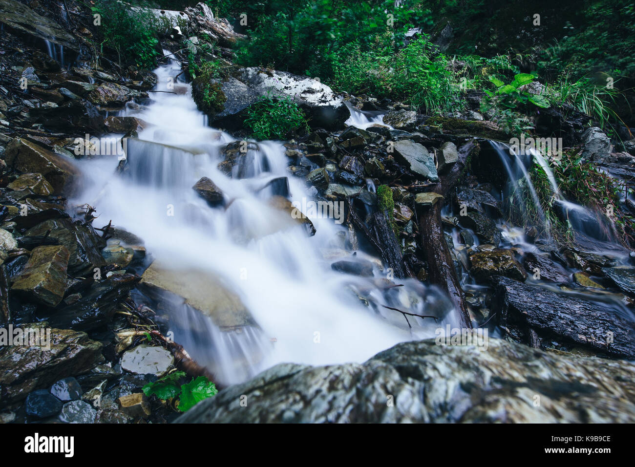 Cascading Stream in mountain forest Stock Photo - Alamy