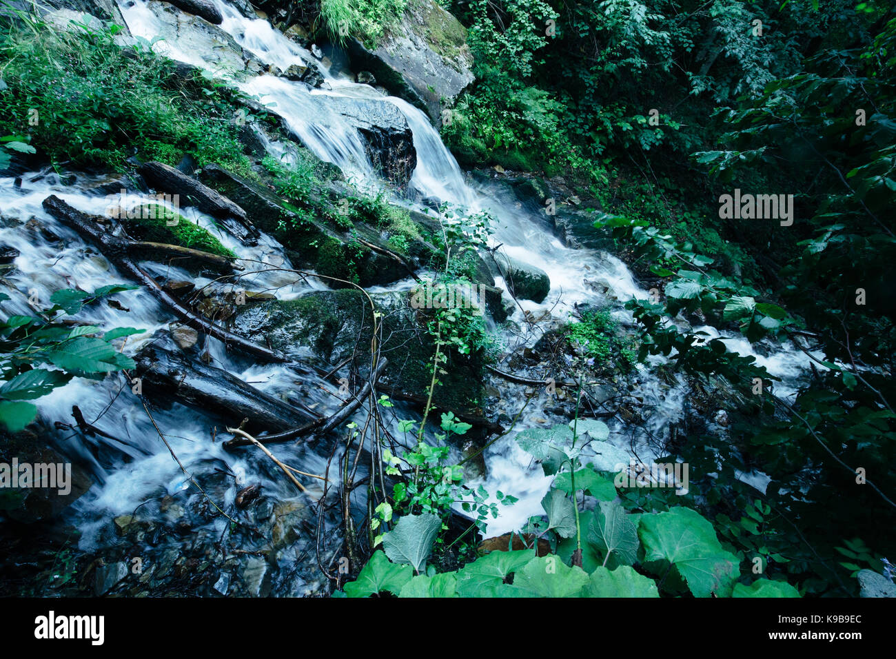 Cascading Stream in mountain forest Stock Photo - Alamy