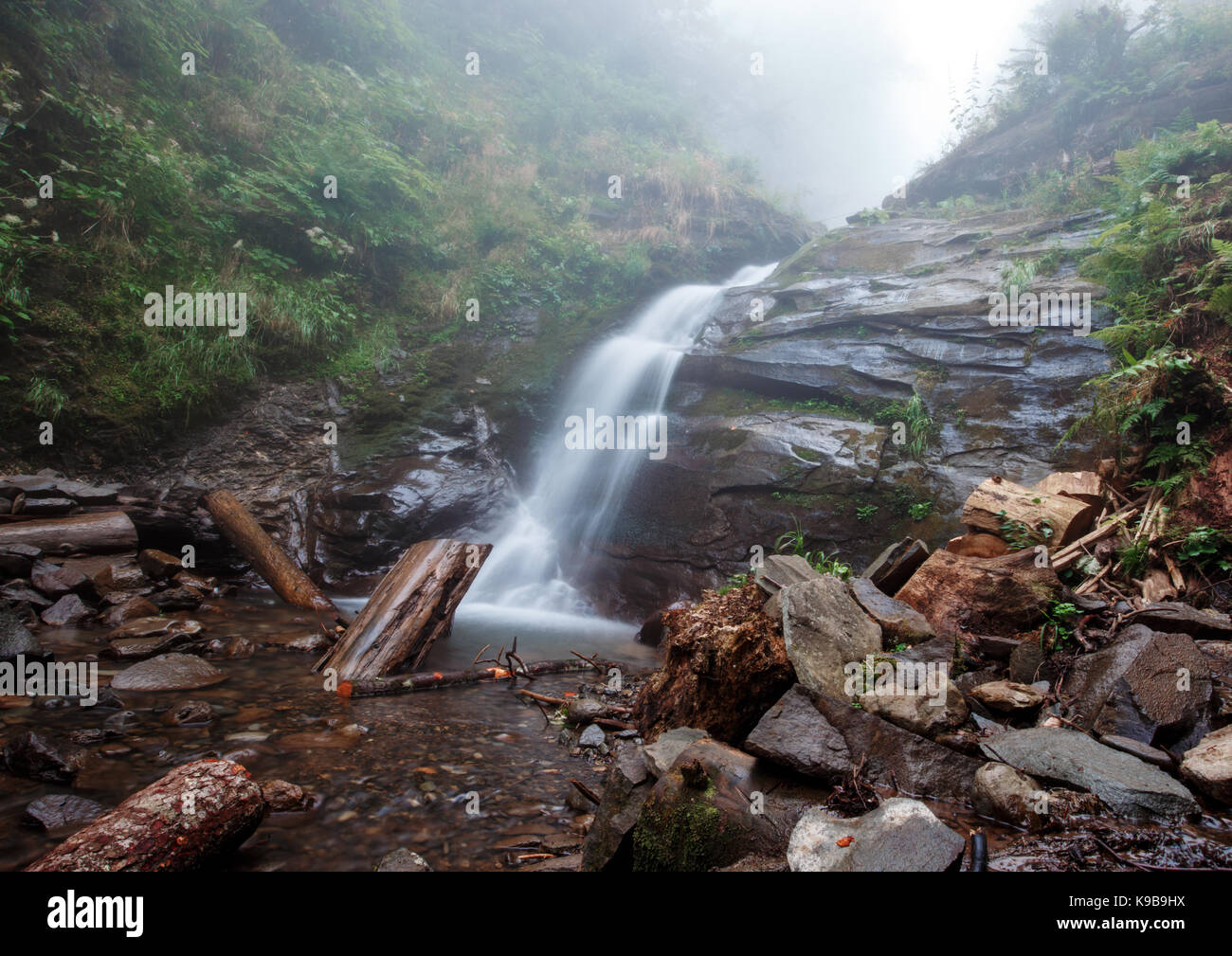 Cascading Stream in mountain forest Stock Photo - Alamy