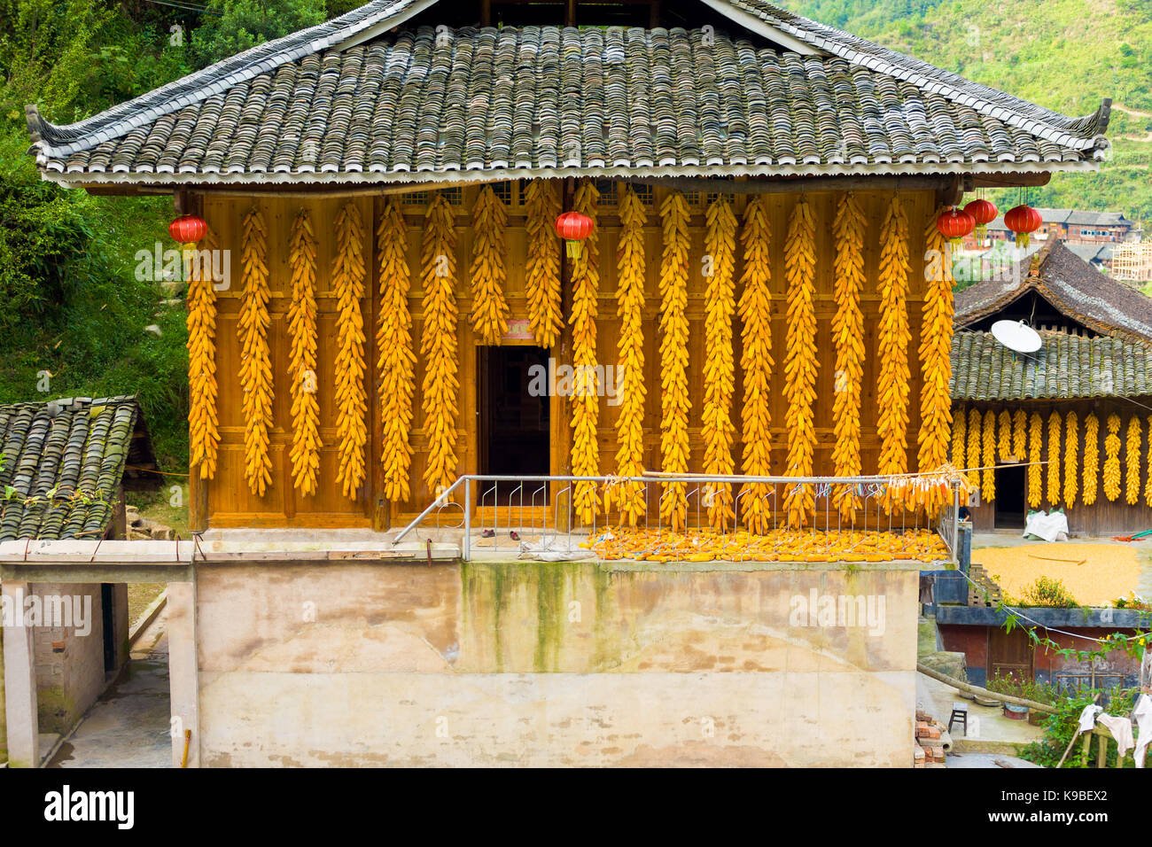 Harvested corn hanging outside a house walls in Xijiang Miao ethnic ...