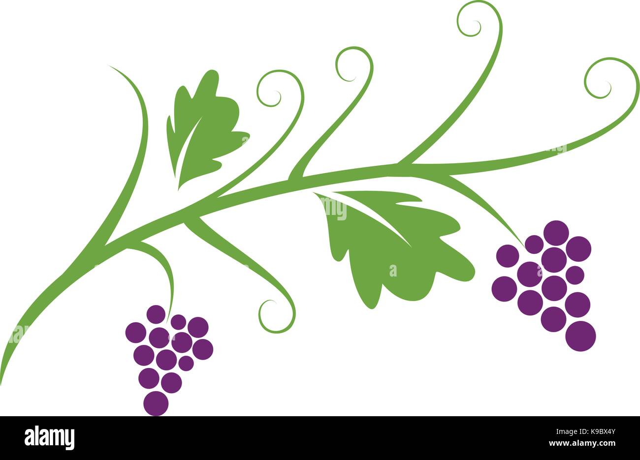Vitis vector vectors hi-res stock photography and images - Alamy