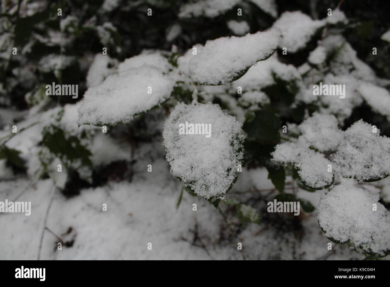 Climate change snowfall hi-res stock photography and images - Alamy