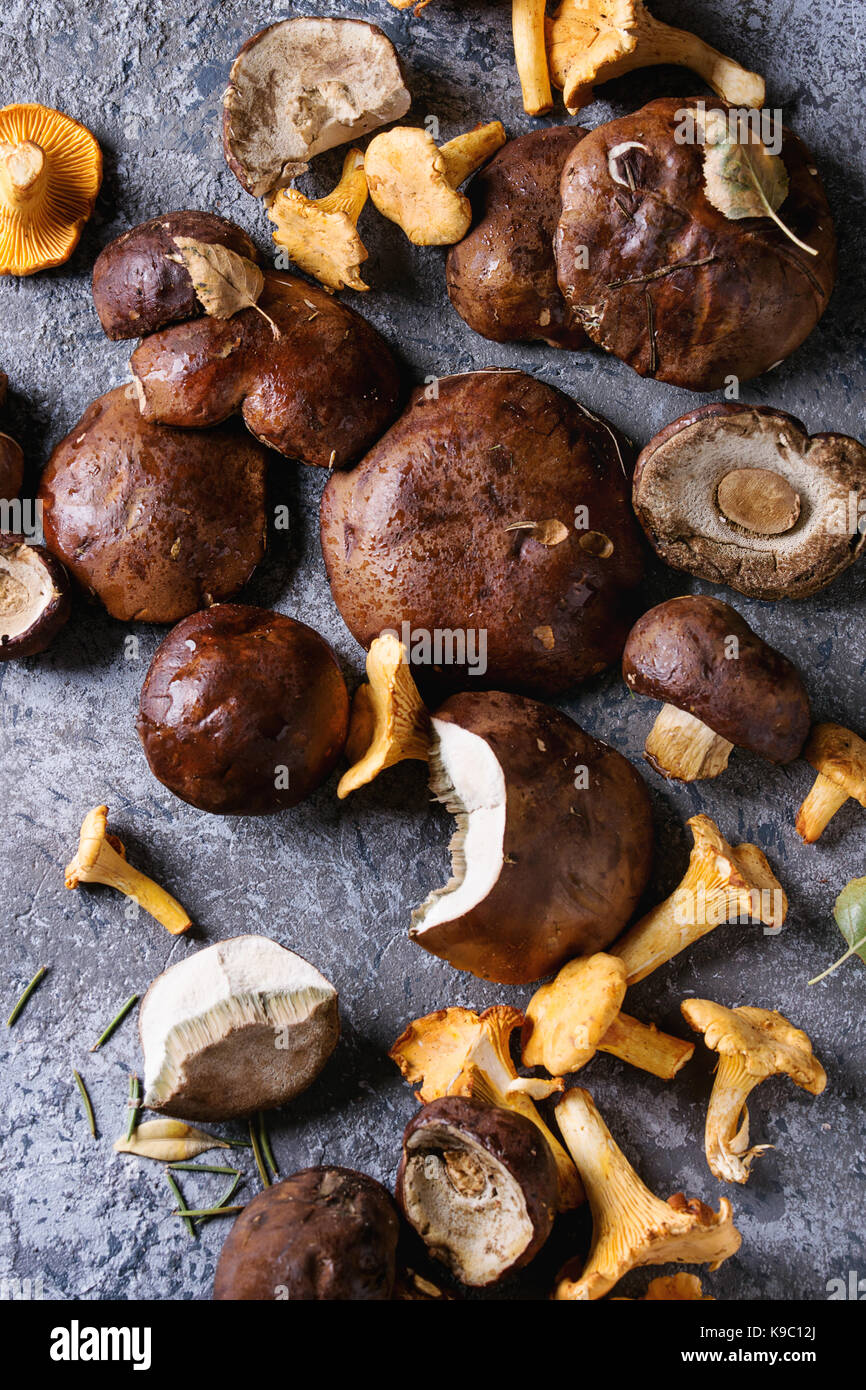 Heap of fresh forest porcini boletus and chanterelles mushrooms over ...