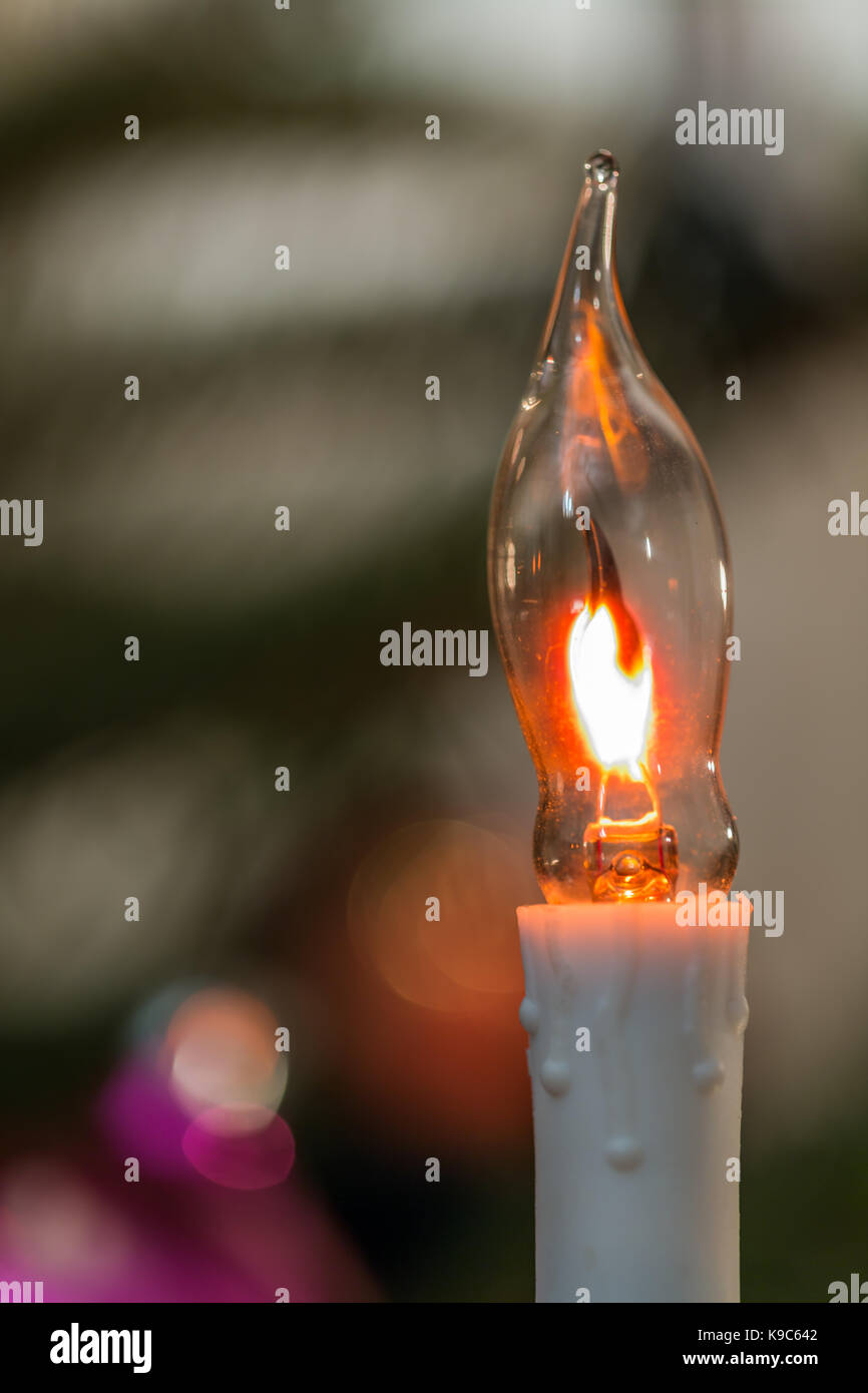 Christmas electric candle on spruce tree branch Stock Photo - Alamy