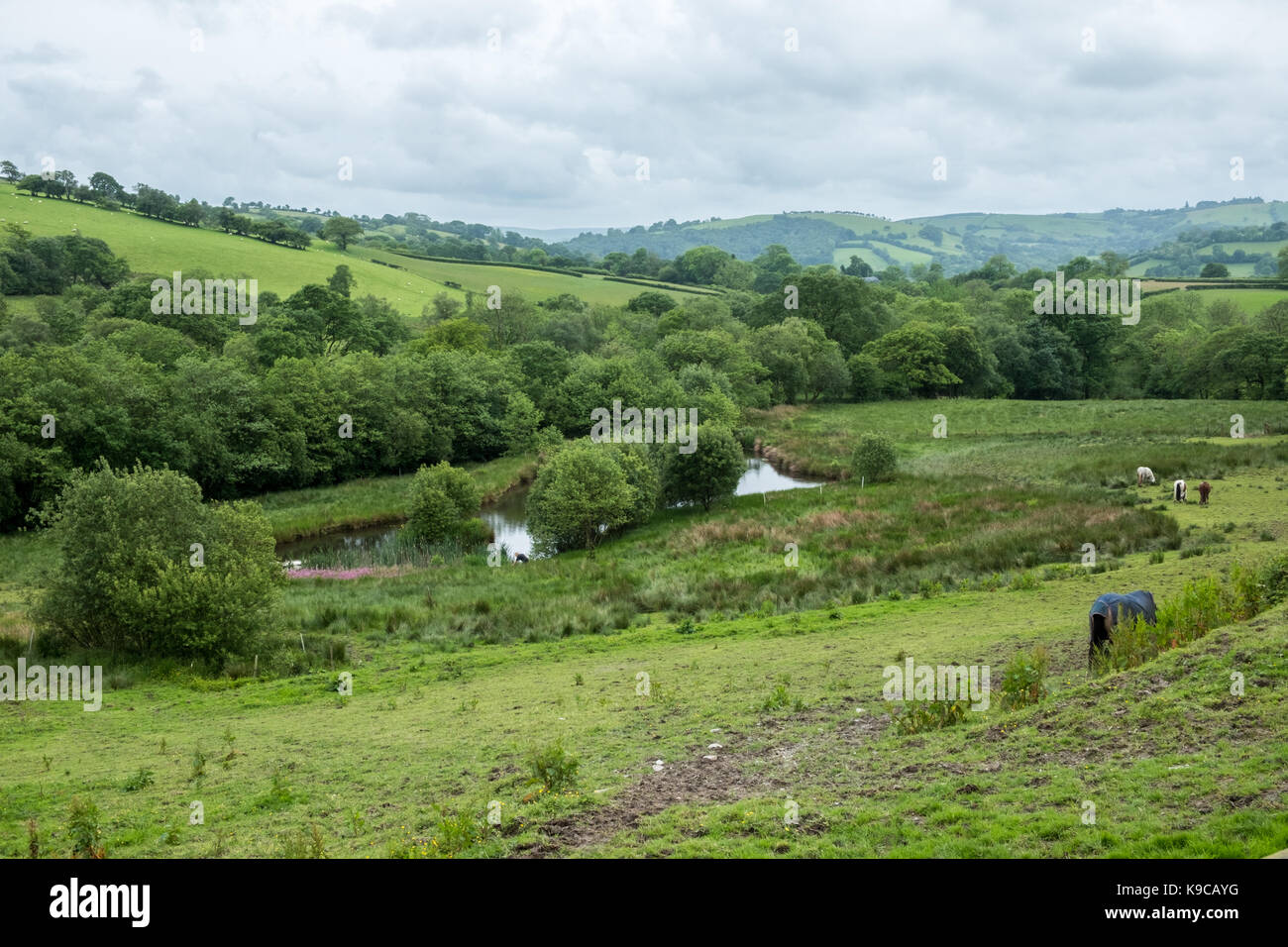 Countryside views of welsh countryside Stock Photo - Alamy