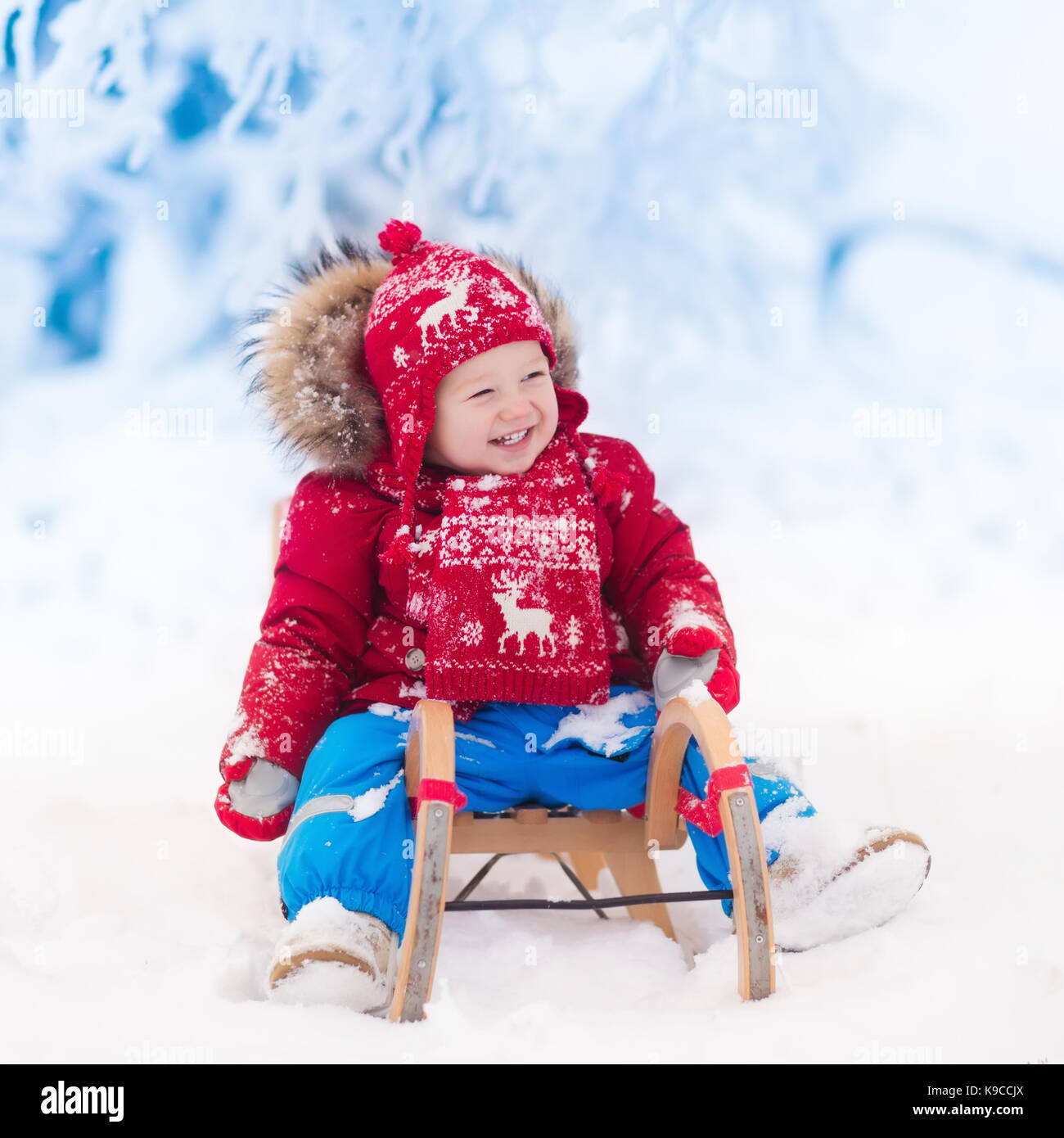 Little girl enjoying a sleigh ride. Child sledding. Toddler kid riding ...