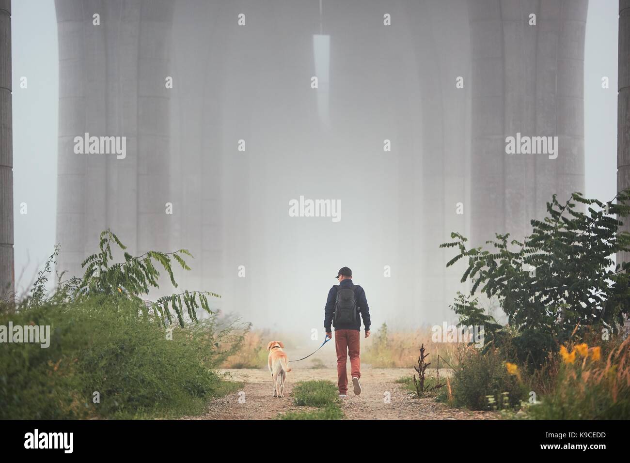 Man with dog under highway bridge in mysterious morning fog. Prague ...